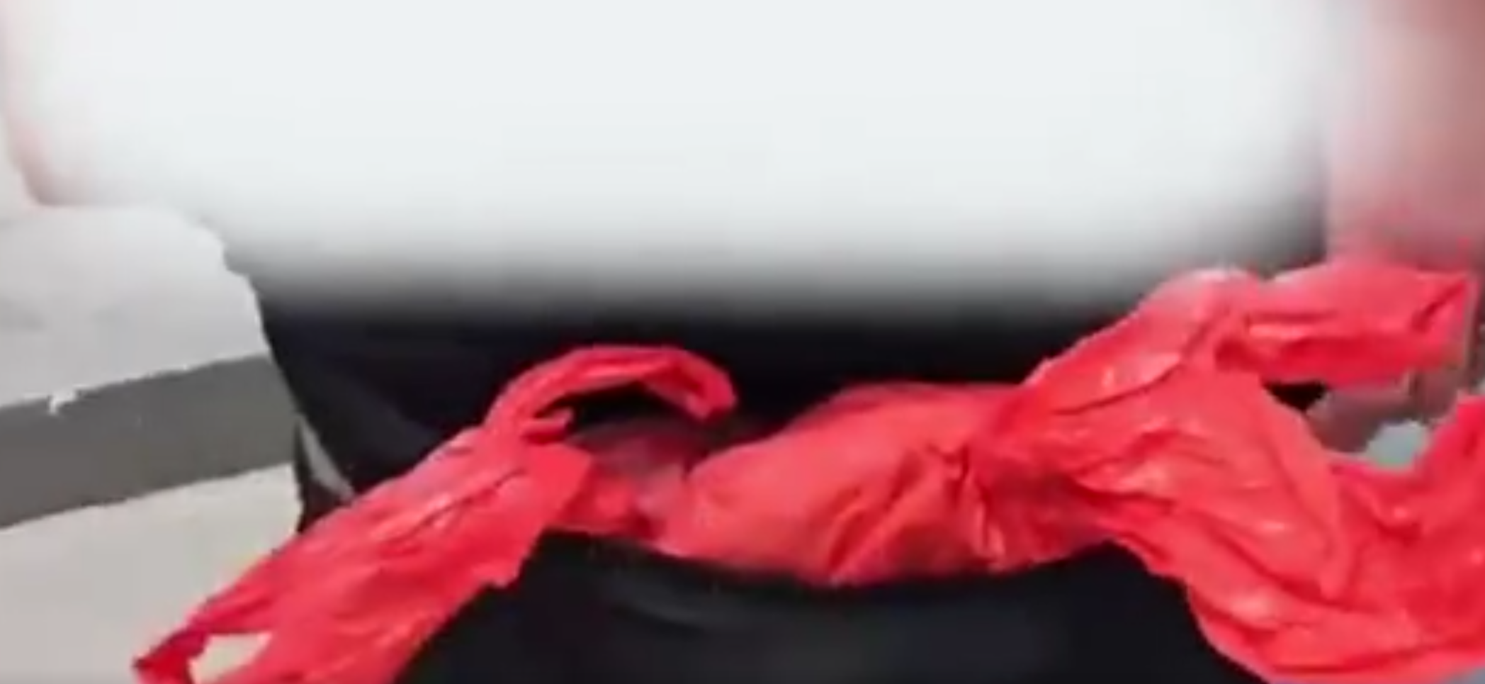 三男褲襠藏236隻瀕危鱷龜 神色緊張北上羅湖斷正(有片) | am730 | am730