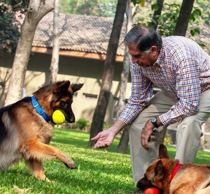 印度大亨病逝未婚無子女 留遺產予愛犬和忠僕(有片) | am730 | am730